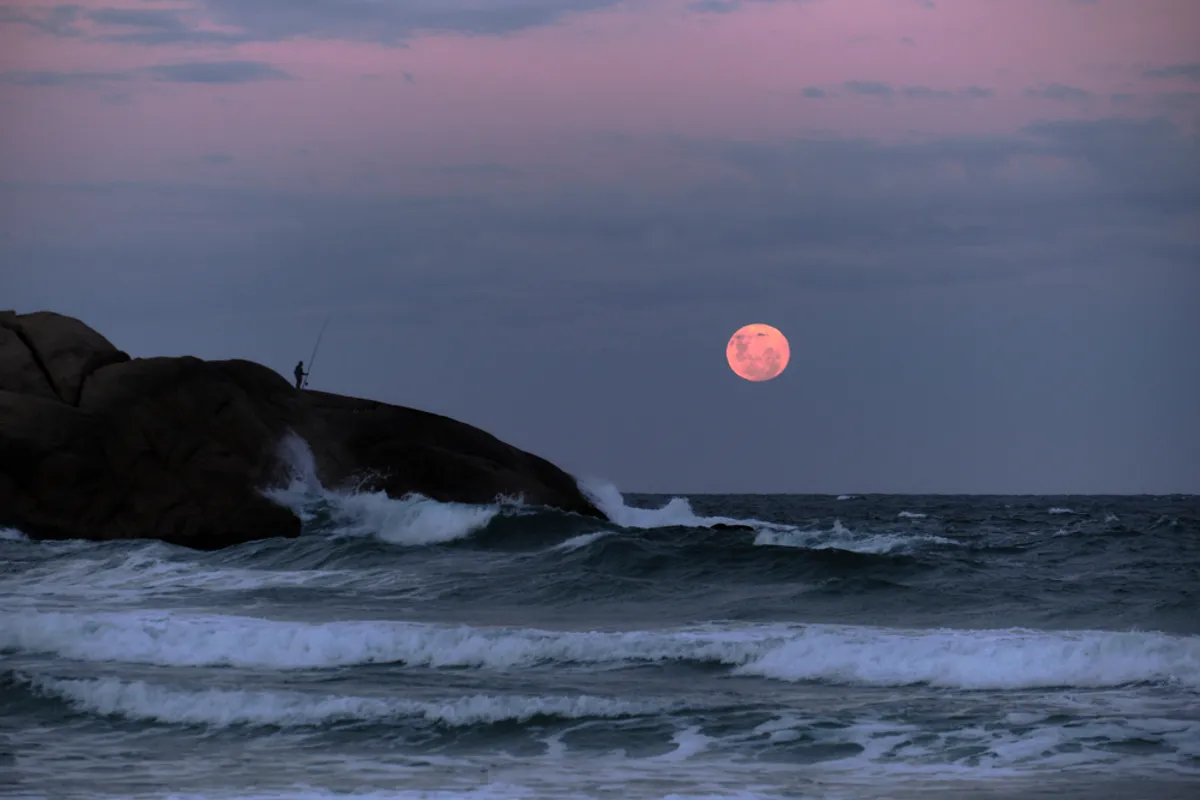 Andre Calil — Andre Calil