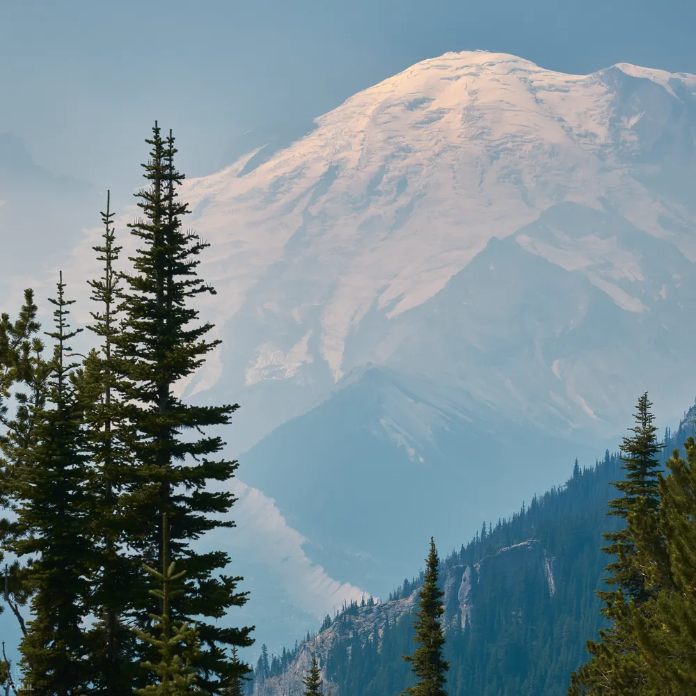 Washington State — Andre Calil